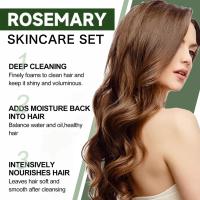 China Vegan Hair Care Rosemary Mint Strengthening Oil Control Hair Growth Shampoo Conditioner Hair Oil Masque Mask Set for sale