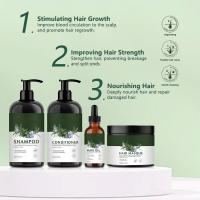 China Vegan Hair Care Rosemary Mint Strengthening Oil Control Hair Growth Shampoo Conditioner Hair Oil Masque Mask Set for sale