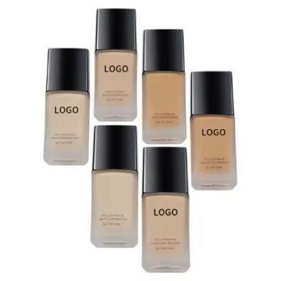 China Custom Private Label Waterproof Full Coverage Foundation Makeup for All Skin Types for sale