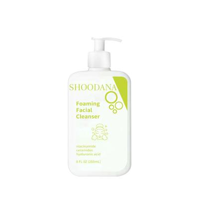 China Organic Natural Niacinamide Acid Cleanser Private Label Face Cleanser Foam Face Wash Facial Cleanser for sale