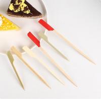 China FSC Certified Biodegradable Bamboo Paddle Skewers 100 Pcs for BBQ Grilling for sale