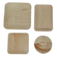 China 9x6 Inch Compostable Palm Leaf Disposable Plates Rectangle Biodegradable Leaf Plates for sale