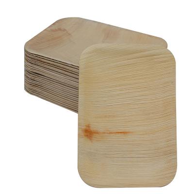 China 9x6 Inch Compostable Palm Leaf Disposable Plates Rectangle Biodegradable Leaf Plates for sale