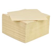 China 100 Count 2 Ply Unbleached Bamboo Paper Napkins 9x9 Inch Natural Color Serviettes for sale