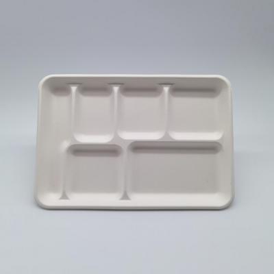China 6 Compartment Disposable Biodegradable Bagasse Divided Rectangle Tray 320x220mm 38g for sale
