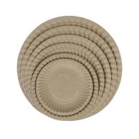 China Disposable Biodegradable Party Plates 7