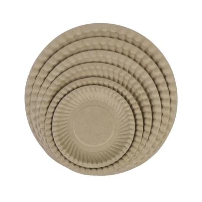 China Disposable Biodegradable Party Plates 7