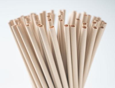 China Compostable Bamboo Fiber Straws 200mm Length for Hot and Cold Drinks Biodegradable for sale