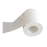 China Hotel Practical Biodegradable Toilet Tissue , Odorless Jumbo Roll Tissue Paper for sale