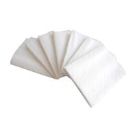 China Ultraportable Pocket Disposable Facial Tissue 7.87