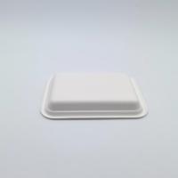 China Greaseproof Compostable Square Plates , Supermarket Biodegradable Sugarcane Plates for sale