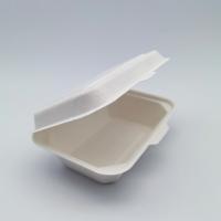 China 600ml Lunch Biodegradable Bagasse Tableware Disposable Takeaway Containers for sale