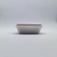China 600ml Lunch Biodegradable Bagasse Tableware Disposable Takeaway Containers for sale