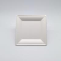 China 6/8/10 Inch Biodegradable Bagasse Tableware Square Plates For Party for sale