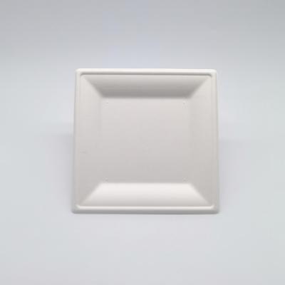 China 6/8/10 Inch Biodegradable Bagasse Tableware Square Plates For Party for sale