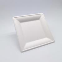 China 6/8/10 Inch Biodegradable Bagasse Tableware Square Plates For Party for sale