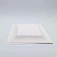 China 6/8/10 Inch Biodegradable Bagasse Tableware Square Plates For Party for sale