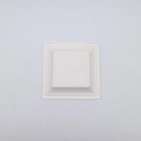 China Greaseproof White Square Biodegradable Plates Waterproof Sustainable for sale