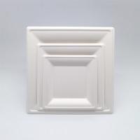 China Greaseproof White Square Biodegradable Plates Waterproof Sustainable for sale