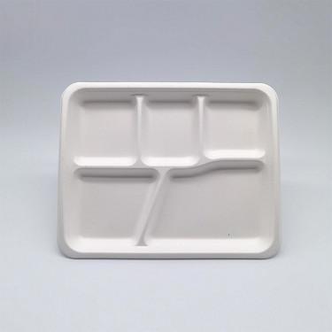 China 5 Compartment Biodegradable Bagasse Tableware Plates White Color Waterproof for sale