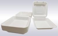 China 9 Inch 1500ml Biodegradable Bagasse Tableware Clamshell Containers Sustainable for sale