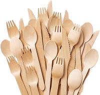 China Eco Friendly 6.3 Inch Disposable Wooden Spoons Biodegradable Birch Cutlery 160mm for sale