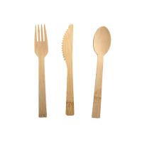 China Durable 6.7 Inch Biodegradable Disposable Cutlery Bamboo Eco Friendly for sale