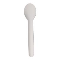 China Disposable Paper Biodegradable Cutlery Spoon Durable 160mm For Catering for sale