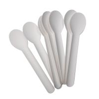 China Disposable Paper Biodegradable Cutlery Spoon Durable 160mm For Catering for sale
