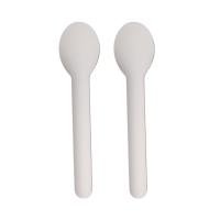 China Disposable Paper Biodegradable Cutlery Spoon Durable 160mm For Catering for sale