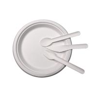 China White Smooth Paper Biodegradable Cutlery Forks Knives Spoons 6.3 Inch Practical for sale