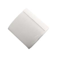 China 4 Ply Odorless Biodegradable Paper Towel Bath Tissue Eco Friendly for sale