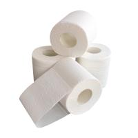 China 4 Ply Odorless Biodegradable Paper Towel Bath Tissue Eco Friendly for sale