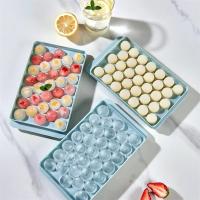 China Mini Circle Ice-Cube Trays PP Plastic Round Ice Ball Maker Mold for Freezer for sale
