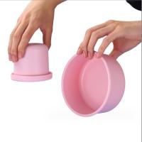 China Food Grade Silicone Bento Lunch Box 1 Lattice Food Storage Container for All Ages for sale