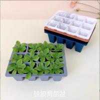 China Reusable Silicone Plastic Nursery Tray for Eco-Friendly Flower Pot Germination for sale