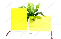China PDLC Switchable Smart Film Electric Frosted Glass Colored Self Adhesive 80000h for sale