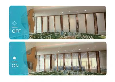 China STG Smart Electric Transparent  Switchable Privacy Glass Film for sale