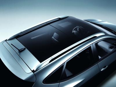 China Rear Tempered Glass Radiator Enamel Paint Sunroof for sale