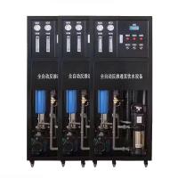 China 0.25T/H Small-Scale Reverse Osmosis Drinking Water Unit for sale