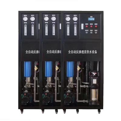 China 0.25T/H Small-Scale Reverse Osmosis Drinking Water Unit for sale