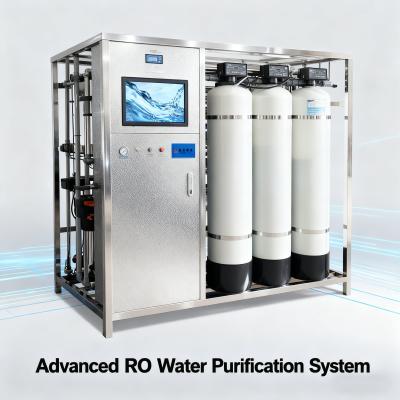 China RO Water Treatment System Industrial Water Purifier Commercial 250lph for sale