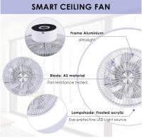 China 3-Dimmable Lights Smart Ceiling Fan for sale