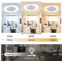 China 3-Dimmable Lights Smart Ceiling Fan for sale