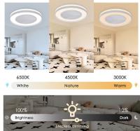 China NEW RGB W2 Smart Ceiling Fan for sale