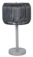 China Solar rattan lamp TD2364 for sale