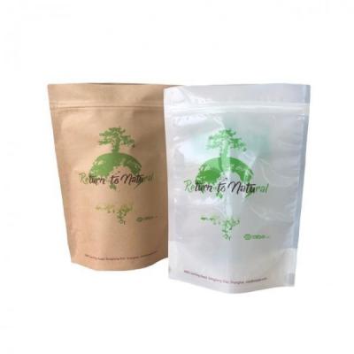 China Custom Kraft Paper Zipper Lock Stand Up Pouch Food Packing Bag 150mic for sale
