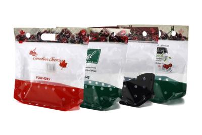 China Custom Printed Stand Up Dry Fruit Packaging Bags 135mic Air Proof Eco Friendly for sale