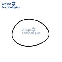 China WESPC CH11654 Cylinder Liner O-Ring Seal for Perkins 1106D Series - 140mm OD × 2mm Thickness for sale