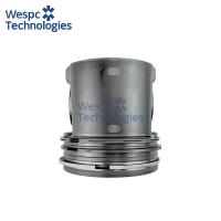 China WESPC T426389 & 4115P016 Piston Kits for Perkins 1106 Series - 100mm Bore Size with 1-Year Warranty for sale
